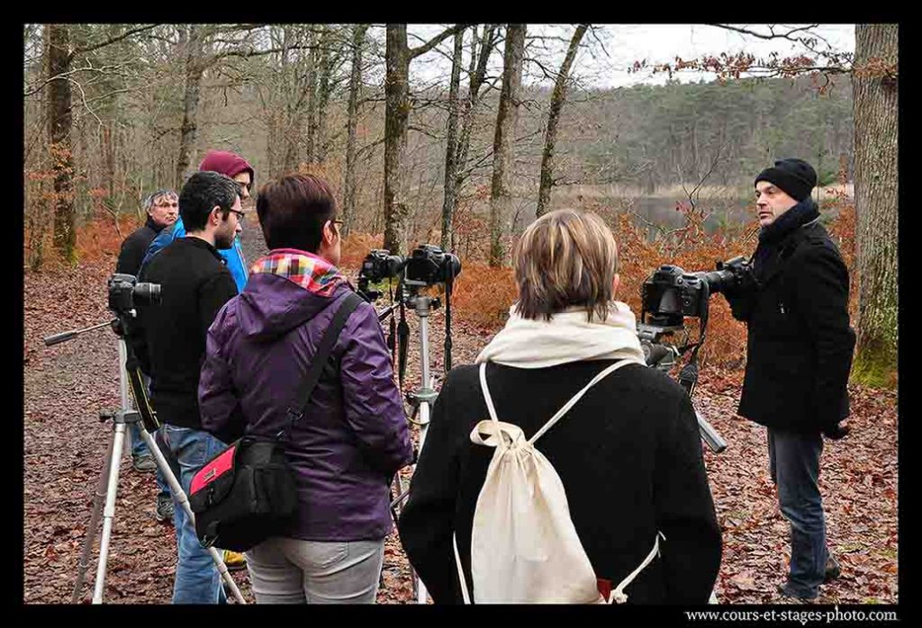 stages photo, cours photo : apprenez avec des professionnels.